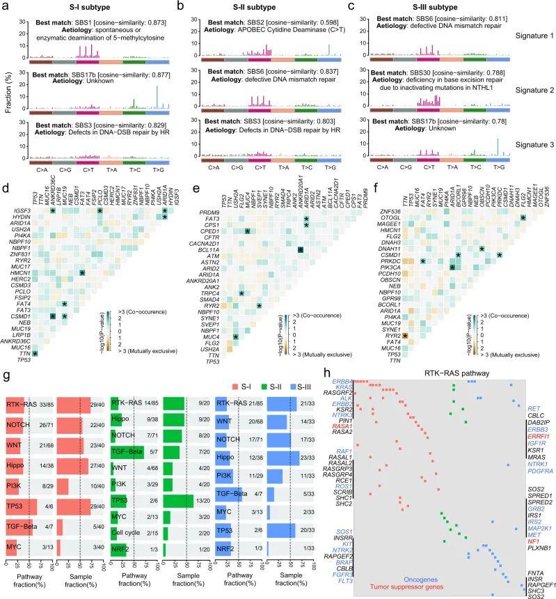 Nat Commun | 浙江省肿瘤医院程向东/覃江江团队4D蛋白组/磷酸化修饰组揭示食管胃交界处腺癌分子分型 - 知乎