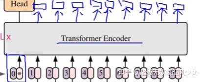 VIT-CV(transformer) - 知乎