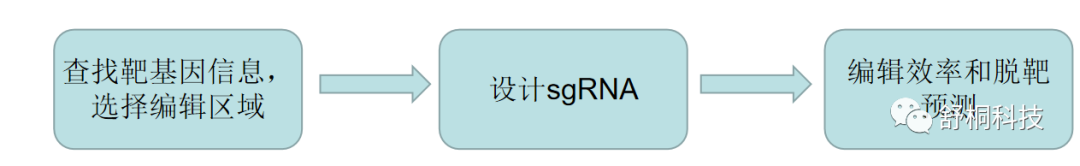 知识分享 | CRISPR/Cas9之sgRNA的设计 - 知乎