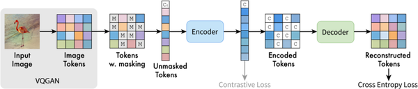 CVPR 2023 | 超越MAE！谷歌提出MAGE：图像分类和生成达到SOTA！ - 知乎