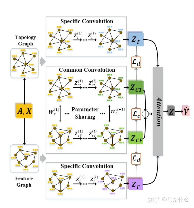 AM-GCN: Adaptive Multi-channel Graph Convolutional Networks - 知乎