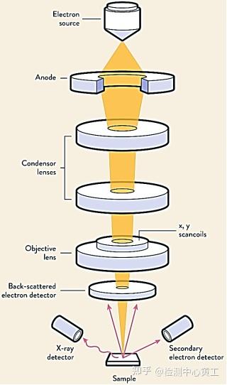 用动画带你了解透射电镜（TEM）知识重点 - 知乎