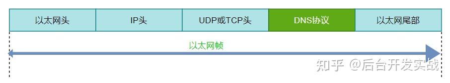 一文带你读懂DNS协议 - 知乎