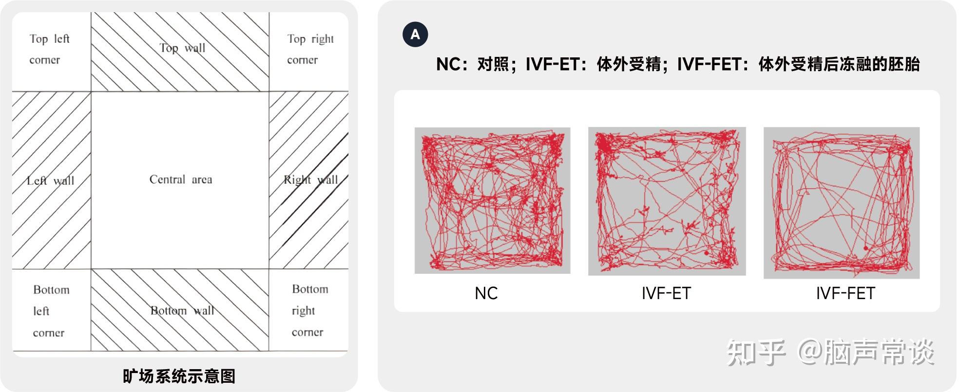 脑声常谈：旷场实验原来这么简单？听我给你介绍 - 知乎