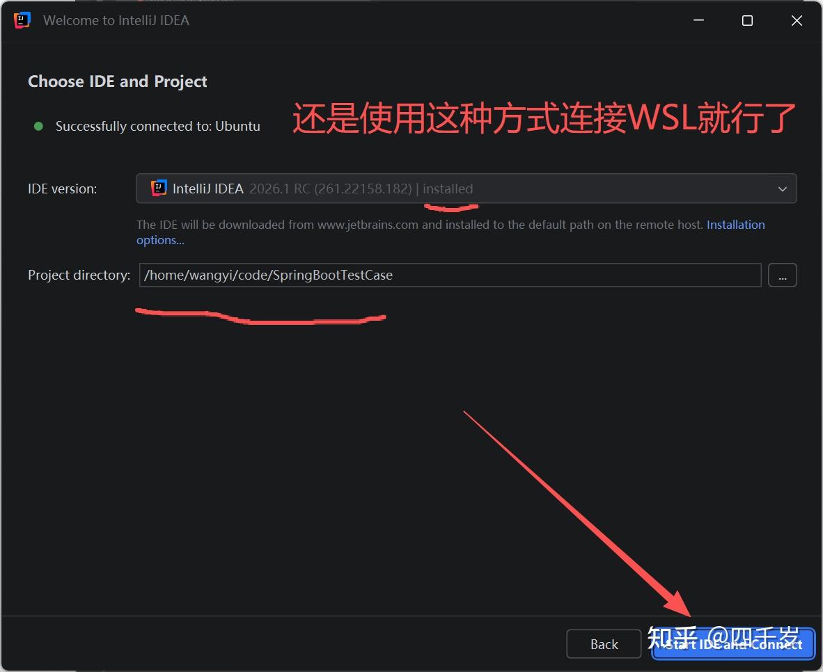 踩坑无数总结：IDEA+WSL 连接、配置、运行全攻略 - 知乎