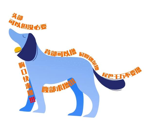 一张图打开撸狗的正确姿势! 知乎