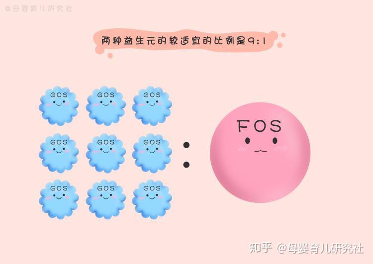 FOS和GOS，也称为益生元组合，它们在宝宝肠道中的奥秘 - 知乎