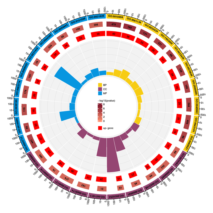 将GO、Pathway富集结果整合在一张高颜值圆圈图上 - 知乎
