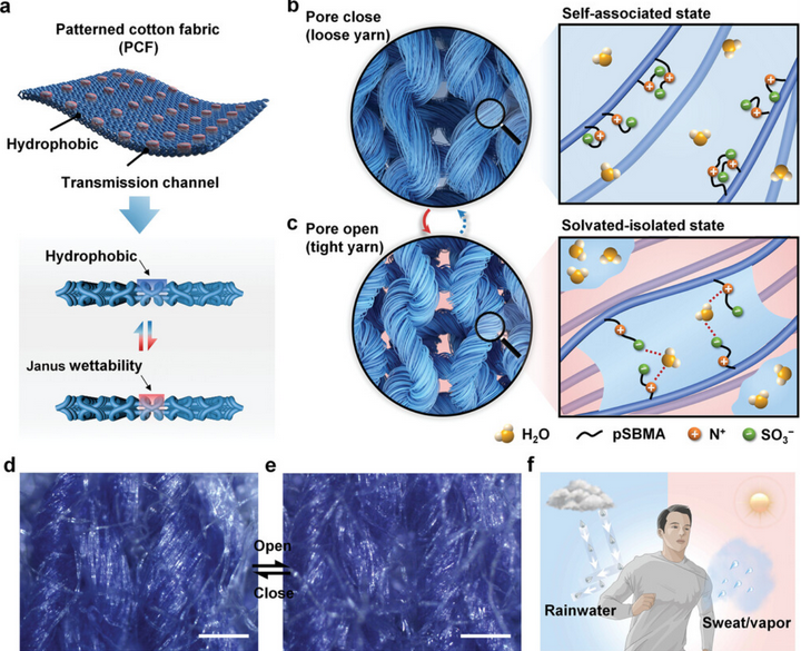 丁彬教授课题组，1天发表2篇《Adv. Funct. Mater.》！ - 知乎