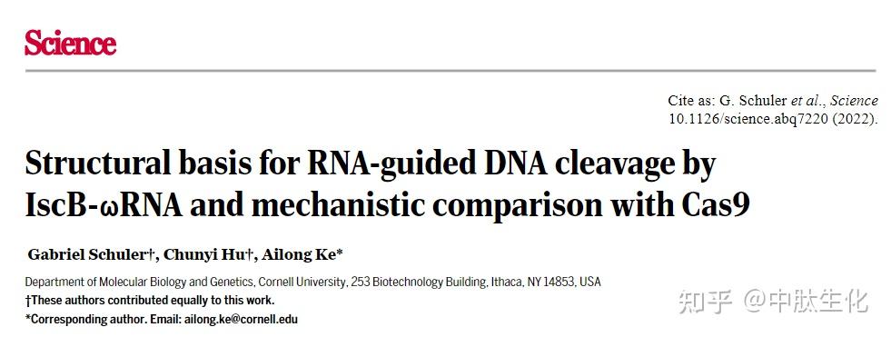 张锋最新论文：CRISPR-Cas9的祖先IscB-ωRNA的结构和功能机制 - 知乎