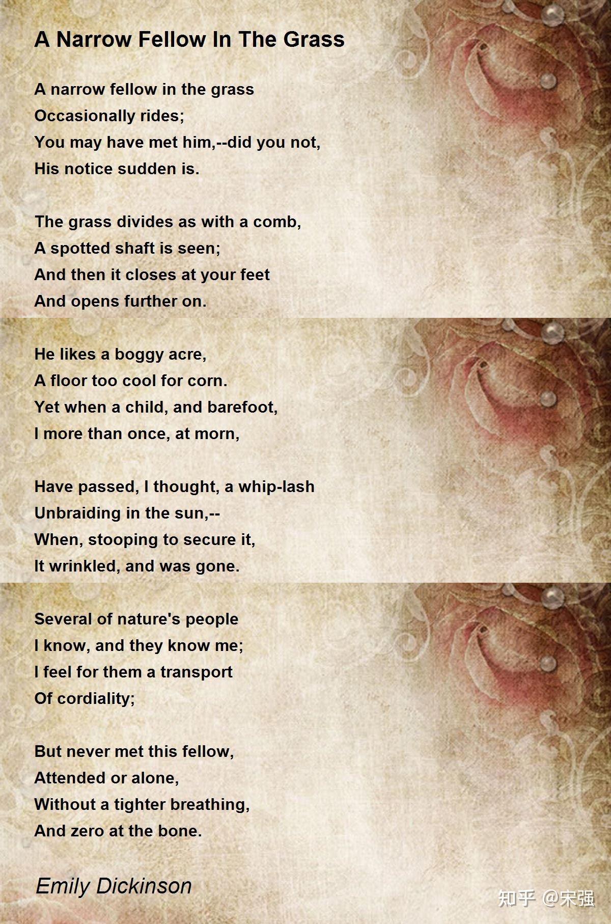 Emily Dickinson(艾米莉·狄金森)《A narrow Fellow in the Grass》《草丛中的狭小家伙》解析 - 知乎