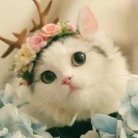 BTDigg网页入口 - 强大的磁力链接搜索引擎 - 知乎