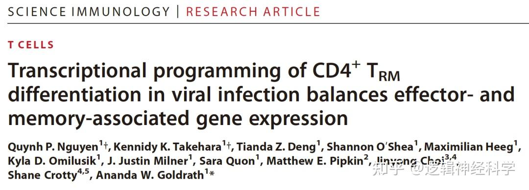 Sci Immun︱加州大学团队发现病毒感染后调控肠道驻留型CD4+T细胞效应和记忆基因的关键转录程序 - 知乎