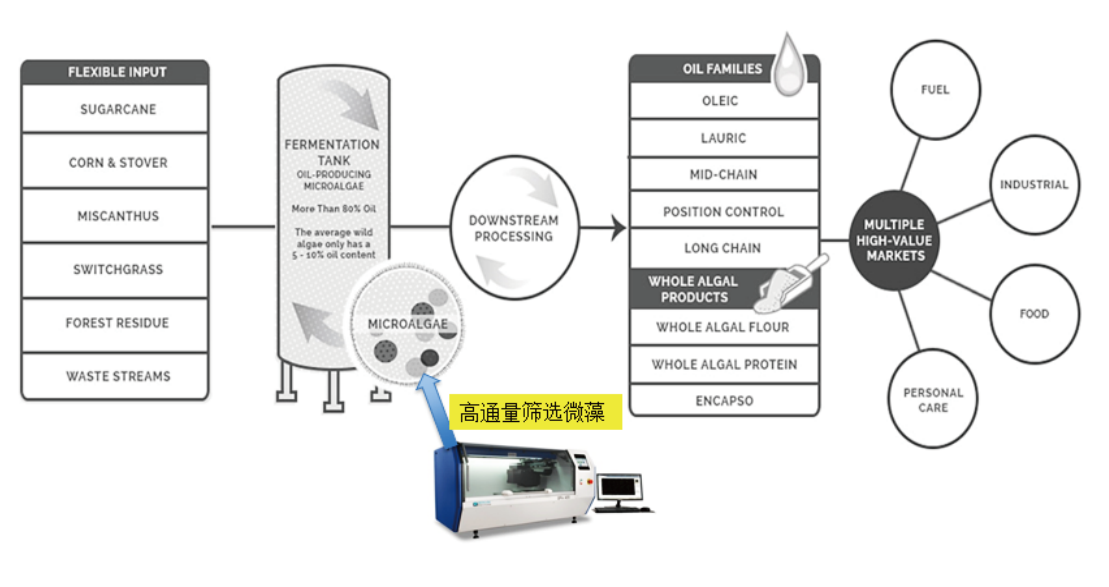 高效微生物筛选技术——引领工业育种和生物能源新时代 - 知乎