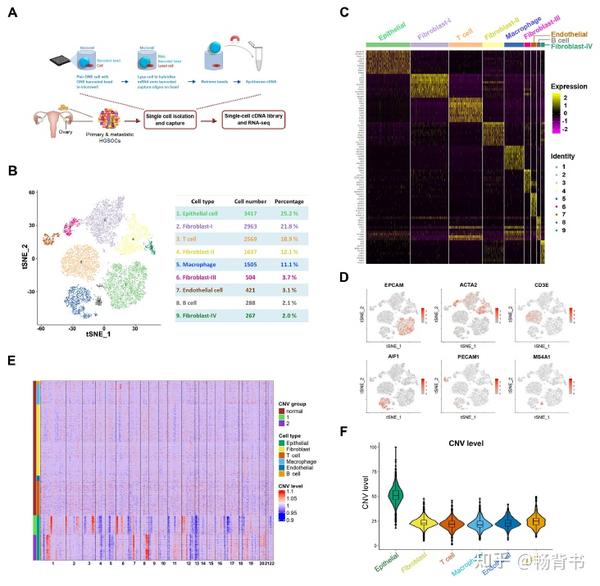 文章解析丨单细胞转录组显示高级别浆液性卵巢癌的异质性 - 知乎