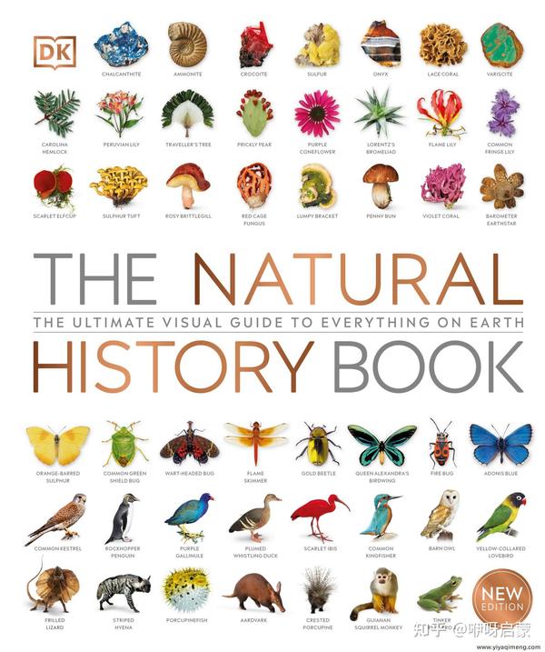 DK自然史科普知识英文绘本The Natural History Book - 知乎