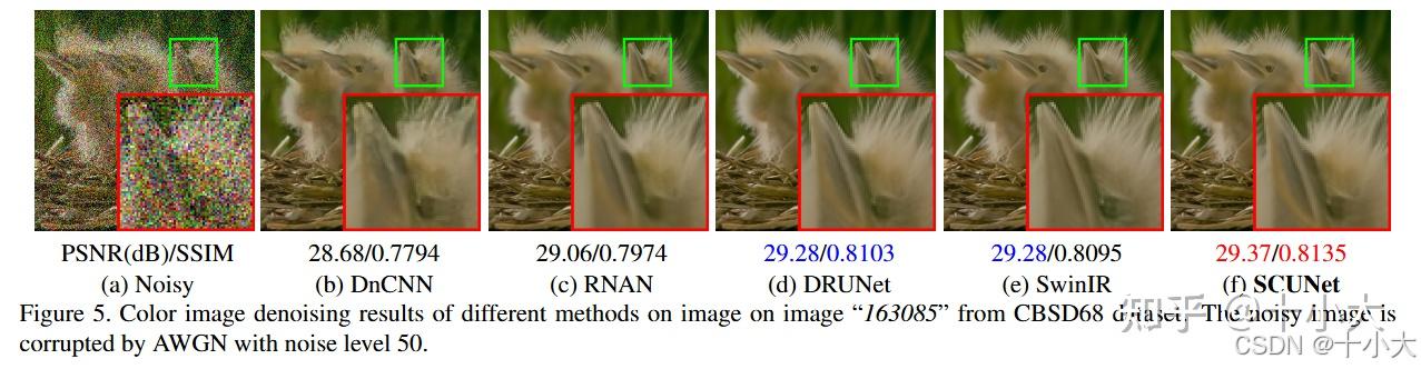 MIR 2021 | SCUNet：将Swin Transformer块集成到UNet结构中解决盲去噪问题！ - 知乎
