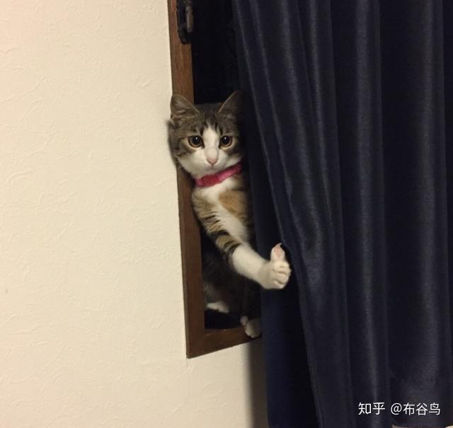 送你备考RN/ISPN的考试60条锦囊妙计 - 知乎