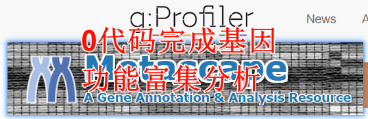 gProfiler-web版好用的基因组学工具 - 知乎