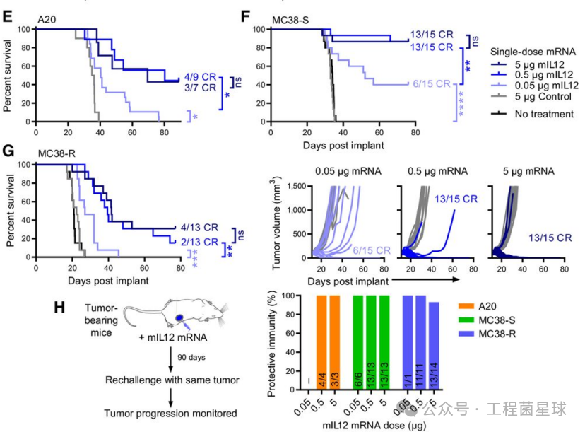 【耀文解读】Moderna:IL-12 mRNA-LNP蛋白替代疗法序列设计与验证 - 知乎
