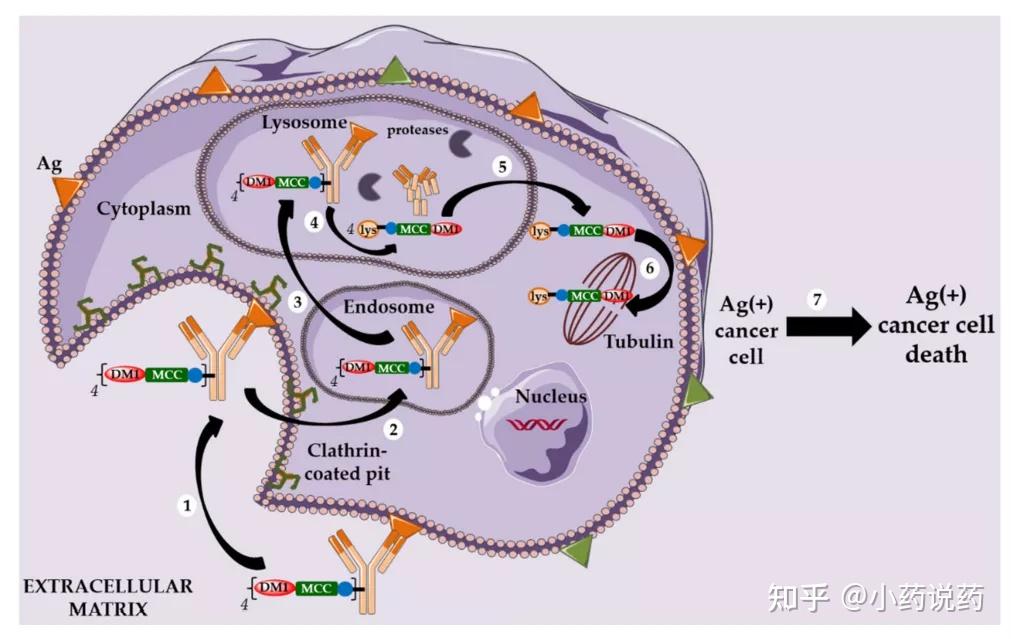 ADC的迭代史 - 知乎