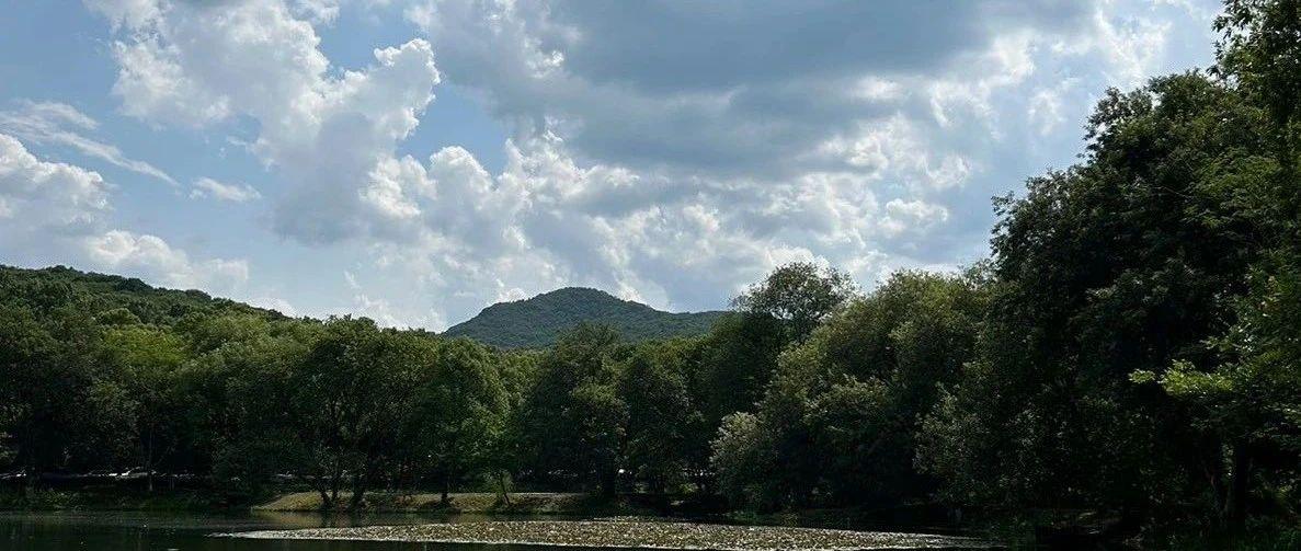 Cursor 怎么指定使用最新发布的 claude 4 模型 - 知乎