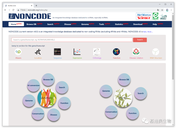 如何分析非编码RNA？ - 知乎