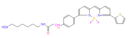 2183473-18-7，BDP TR amine在生物化学和分子生物学研究中可用于酶促转氨反应 - 知乎