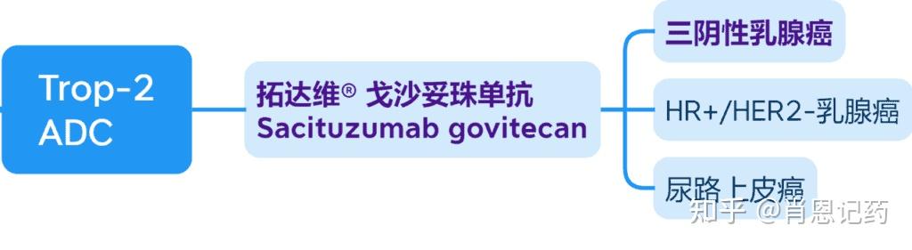 记住所有FDA生物药 | Trop-2 ADC | 拓达维® 戈沙妥珠单抗 | 乳腺癌、尿路上皮癌等 - 知乎