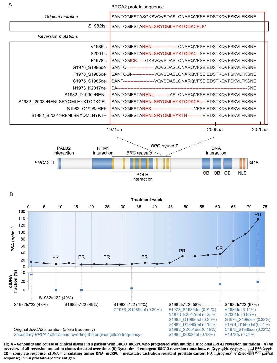 狡猾的BRCA回复突变为PARPi耐药的重要原因——大型转移性去势抵抗性前列腺癌队列研究 - 知乎