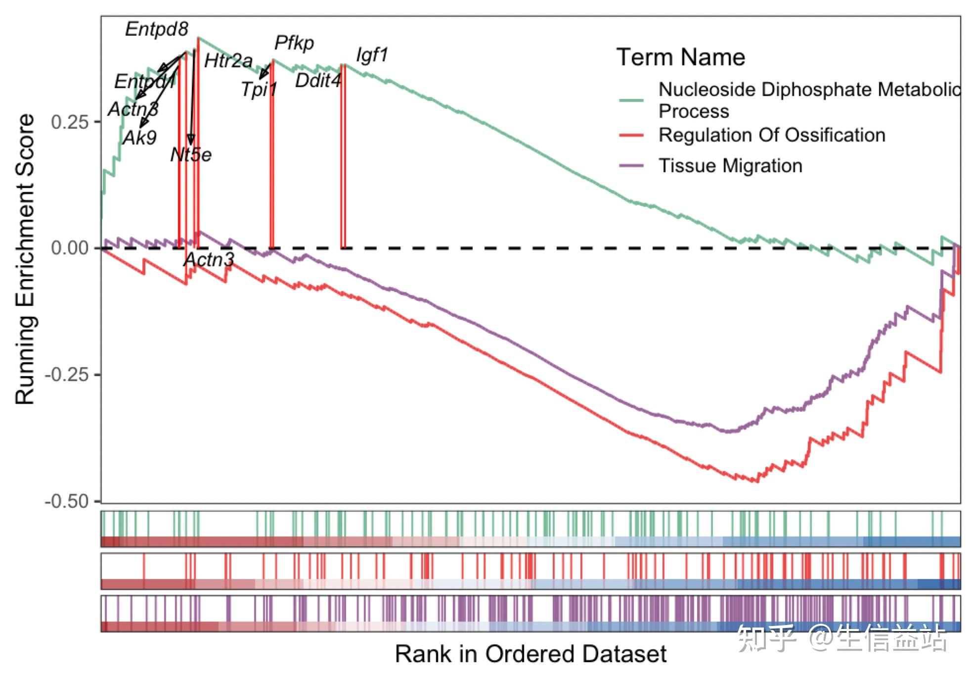 高分文章呼唤高颜值的GSEA可视化方式 - 知乎