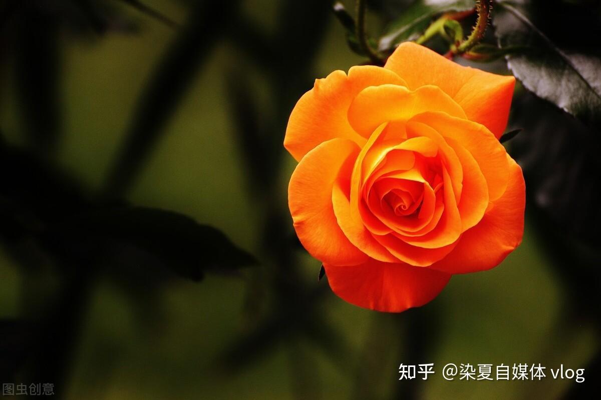 想让自己变得更加优秀,其实需要去研究自己的特点 知乎