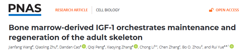 骨骼维持与损伤修复不再是问题！PNAS揭示骨髓来源IGF-1调控作用 - 知乎