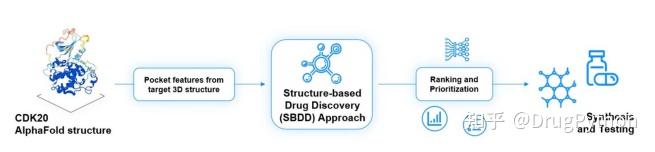 Chem. Sci.|AlphaFold加速了人工智能药物的发现：一种新型CDK20小分子抑制剂 - 知乎