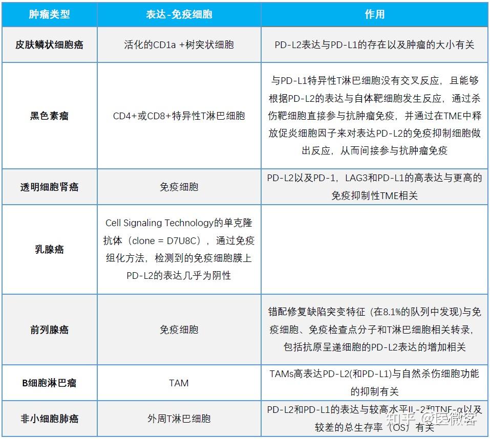 PD-L2知多少 - 知乎