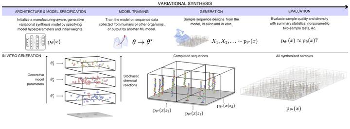 Variational synthesis: a new generative design paradigm for biology - 知乎