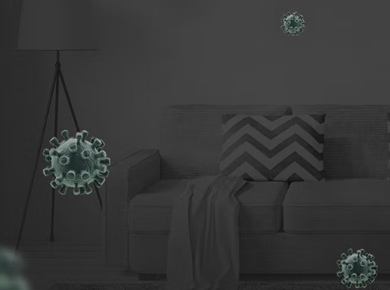 2023年空气净化器选购攻略：不同预算怎么选？IAM/352/飞利浦/松下/舒乐氏/艾泊斯/布鲁雅尔等品牌推荐，看这一篇就够了！ - 知乎