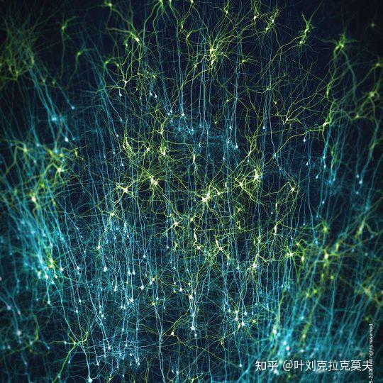 科学可视化软件介绍 – Blue Brain BioExplorer - 知乎