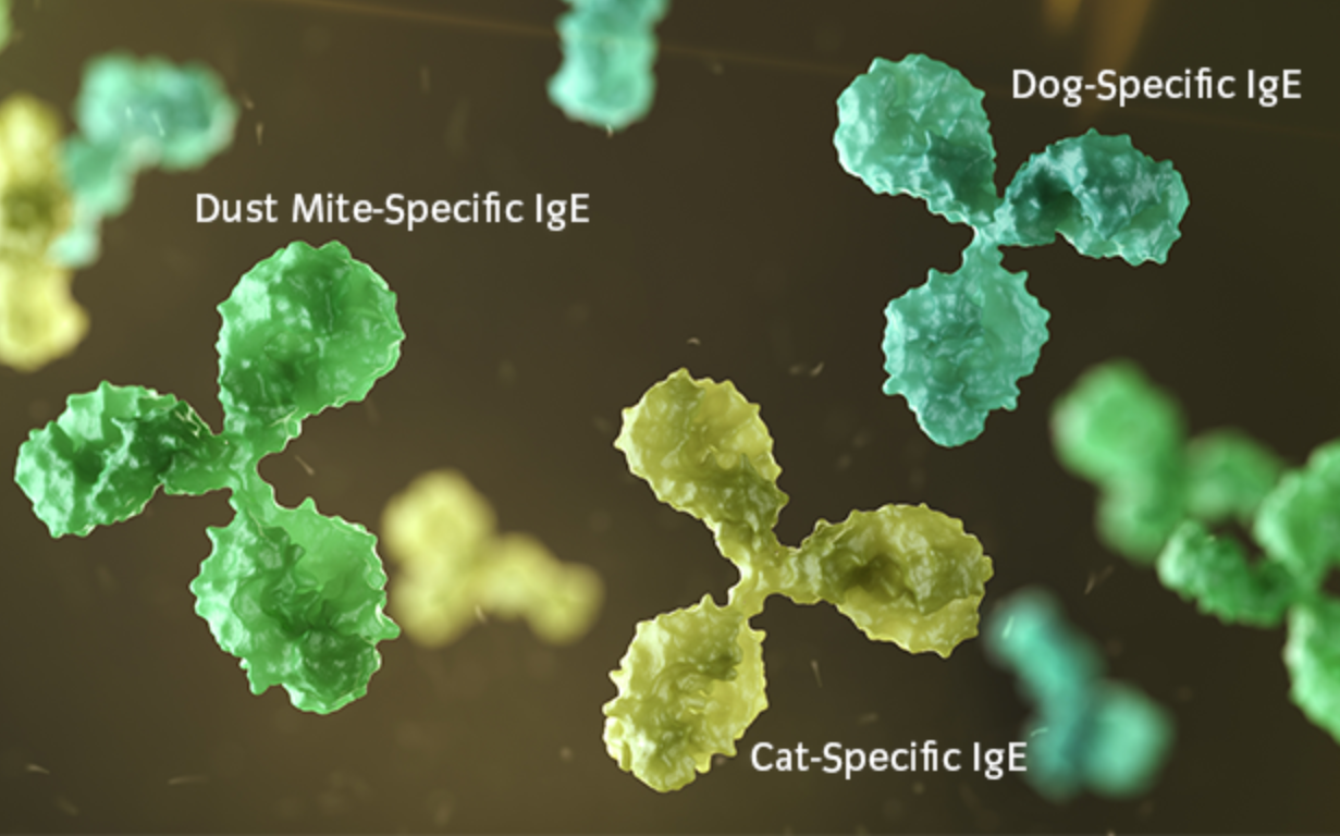 过敏检查时总IgE代表什么？ - 知乎