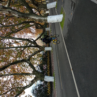 CUDA Dynamic Parallelism 特性以及编译器优化方法 - 知乎