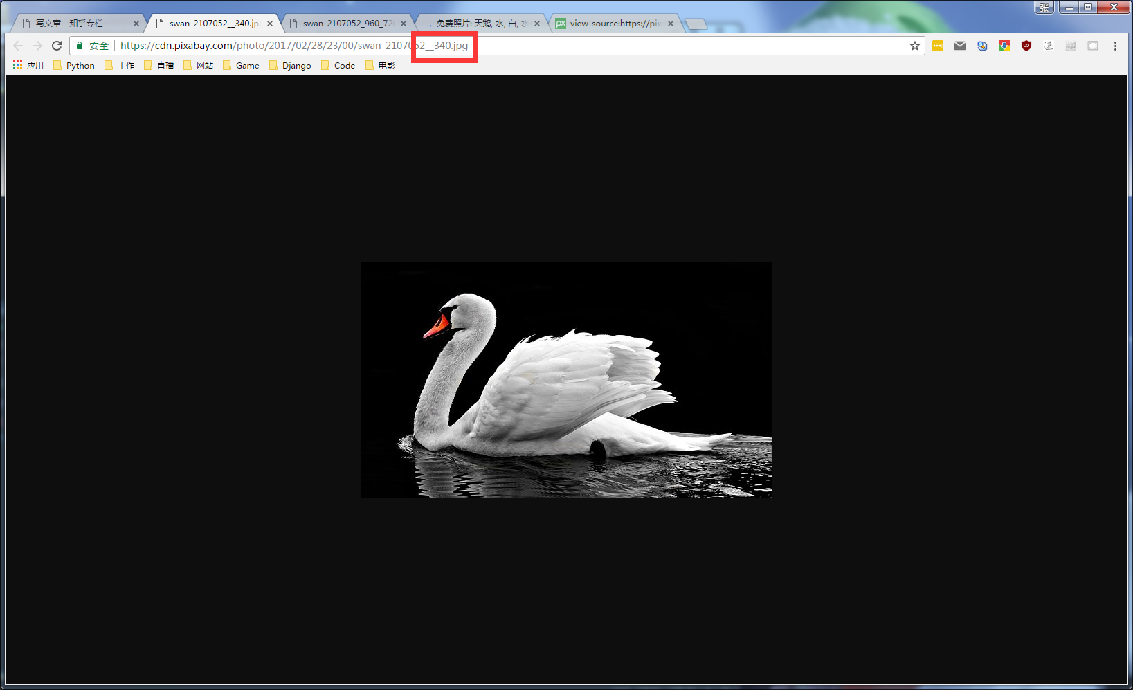 Python爬虫实战——免费图片 - Pixabay - 知乎