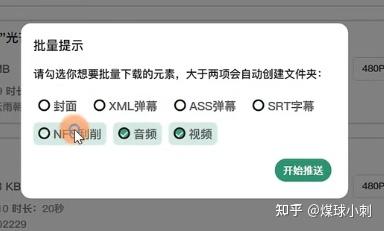 UP主：王子周棋洛制作的视频下载器-Bilidown - 知乎