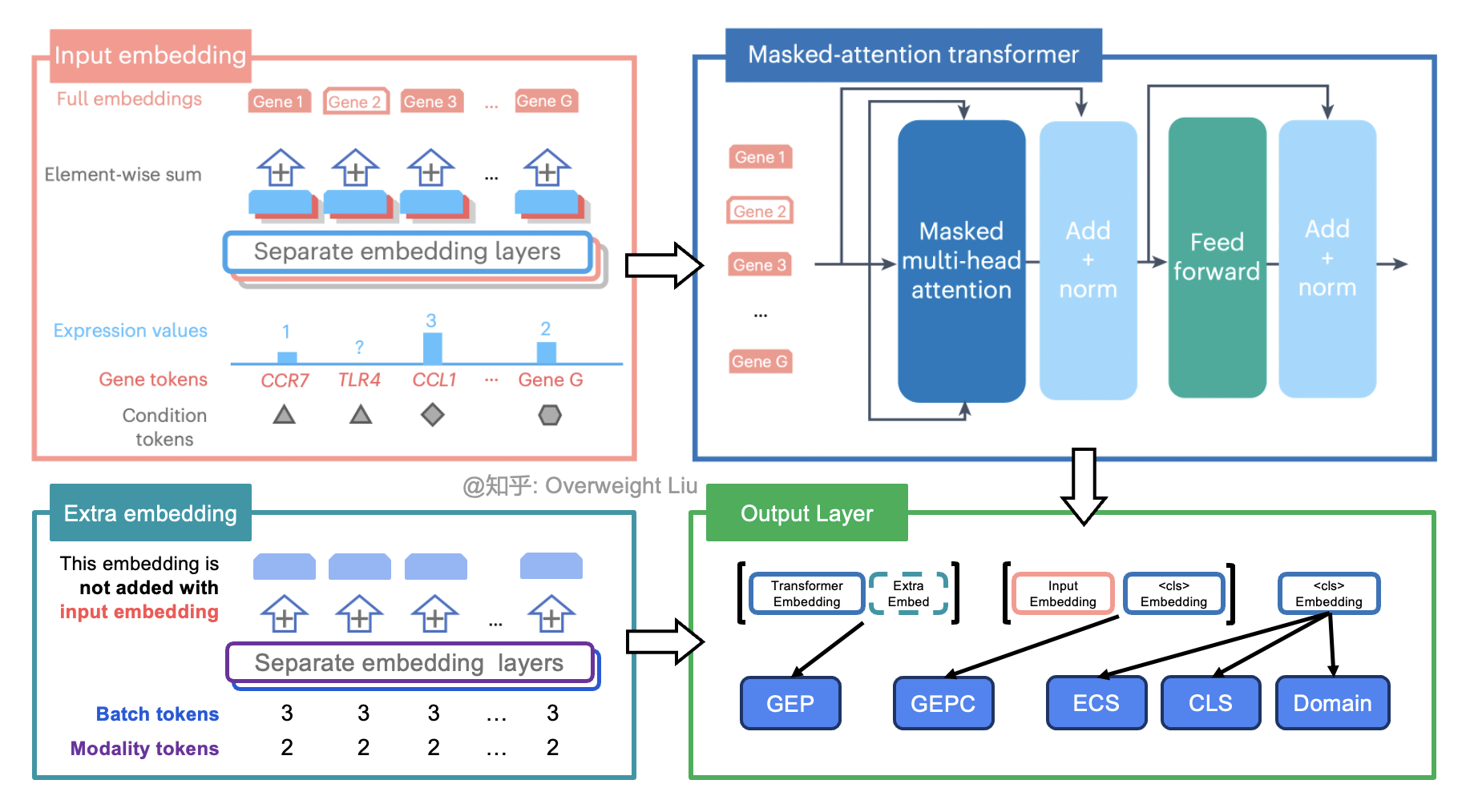 (六) scGPT｜独特的 Tokenization 体系和生成式预训练策略下的单细胞基座模型 - 知乎