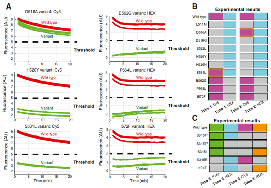“阅”技术 | Color-Mix 策略大幅提高 qPCR 检测技术的通量 - 知乎