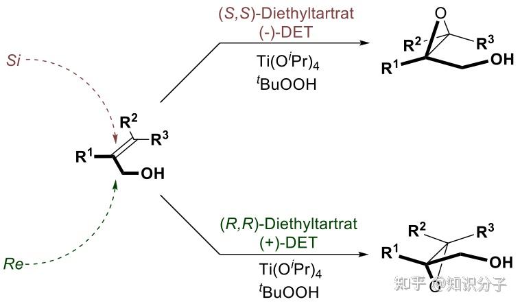 两获化学诺奖，沙普利斯的非凡人生 - 知乎