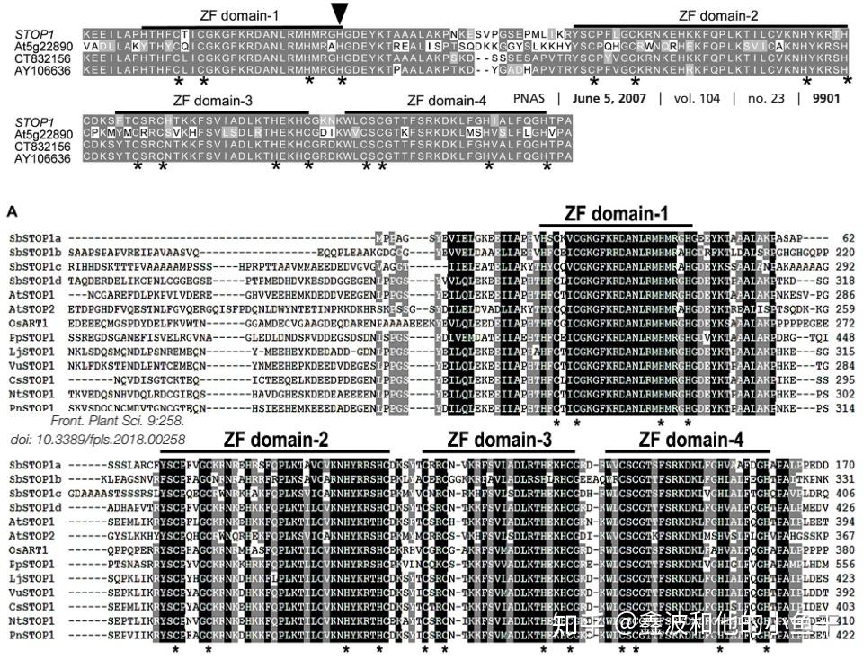抗酸性土壤铝毒害的关键转录因子——STOP1 - 知乎
