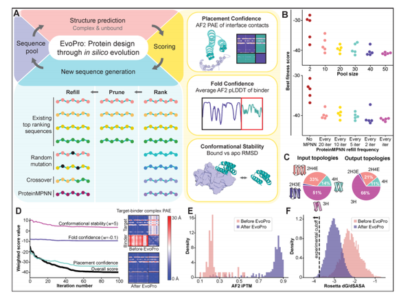 bioRxiv|利用AlphaFold_Multimer和ProteinMPNN迭代循环设计出具有高亲和力的蛋白结合物 - 知乎