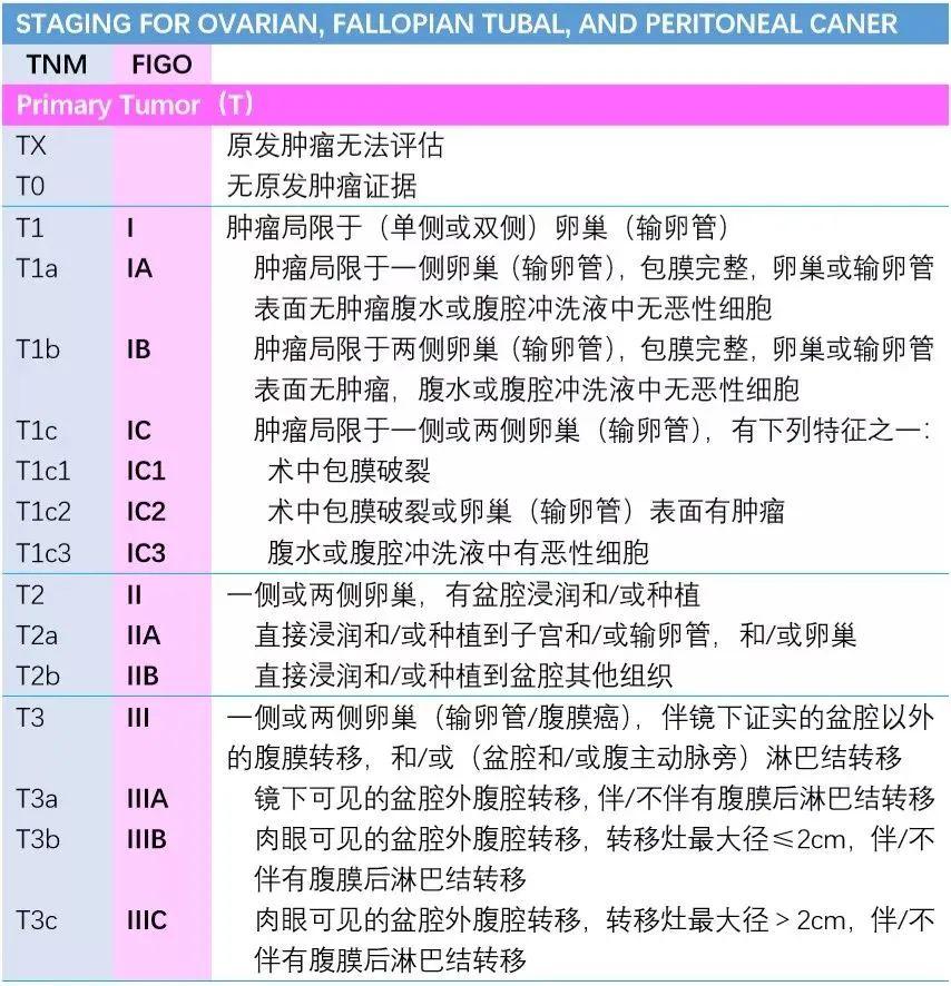 妇科肿瘤FIGO分期与TNM分期 - 知乎