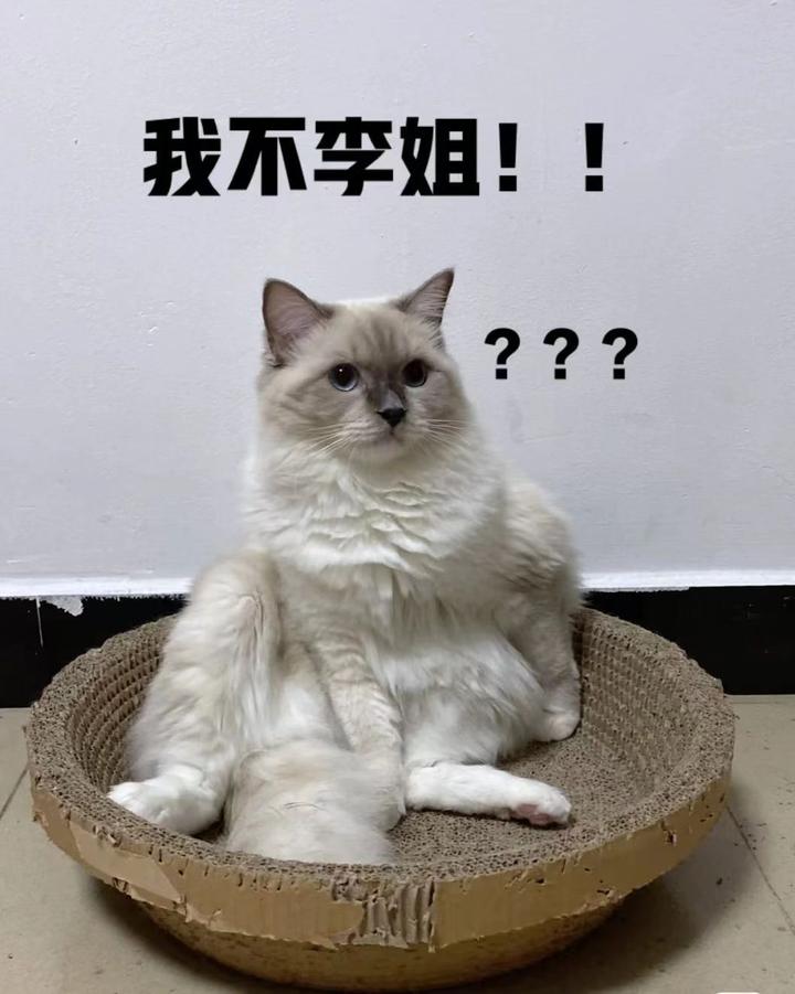 SSCI真的很难发吗 - 知乎