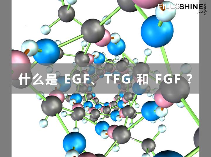 什么是EGF/TFG和FGF? - 知乎